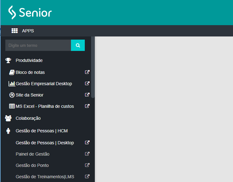 Customizações – Senior X PLATFORM